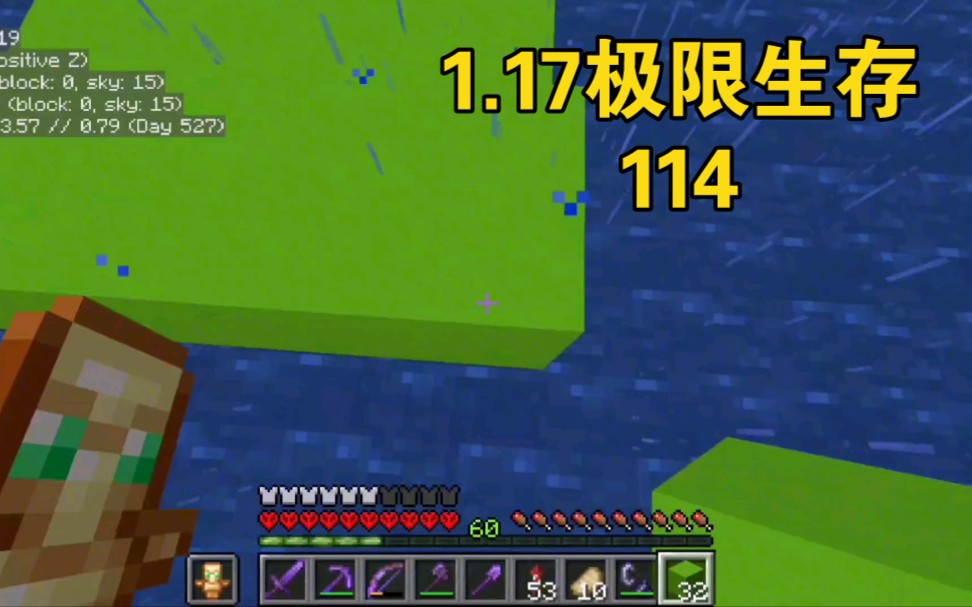 【我的世界】Java版1.17极限生存 114
