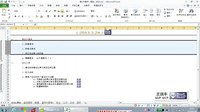 【王佩丰】Excel 2010 入门视频教程第3讲:查找、替换与定位