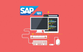 2023年完整的SAP S/4HANA训练营