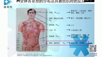 【指南纵贯线】M受体拮抗剂临床应用专家共识解读——王建业(一)