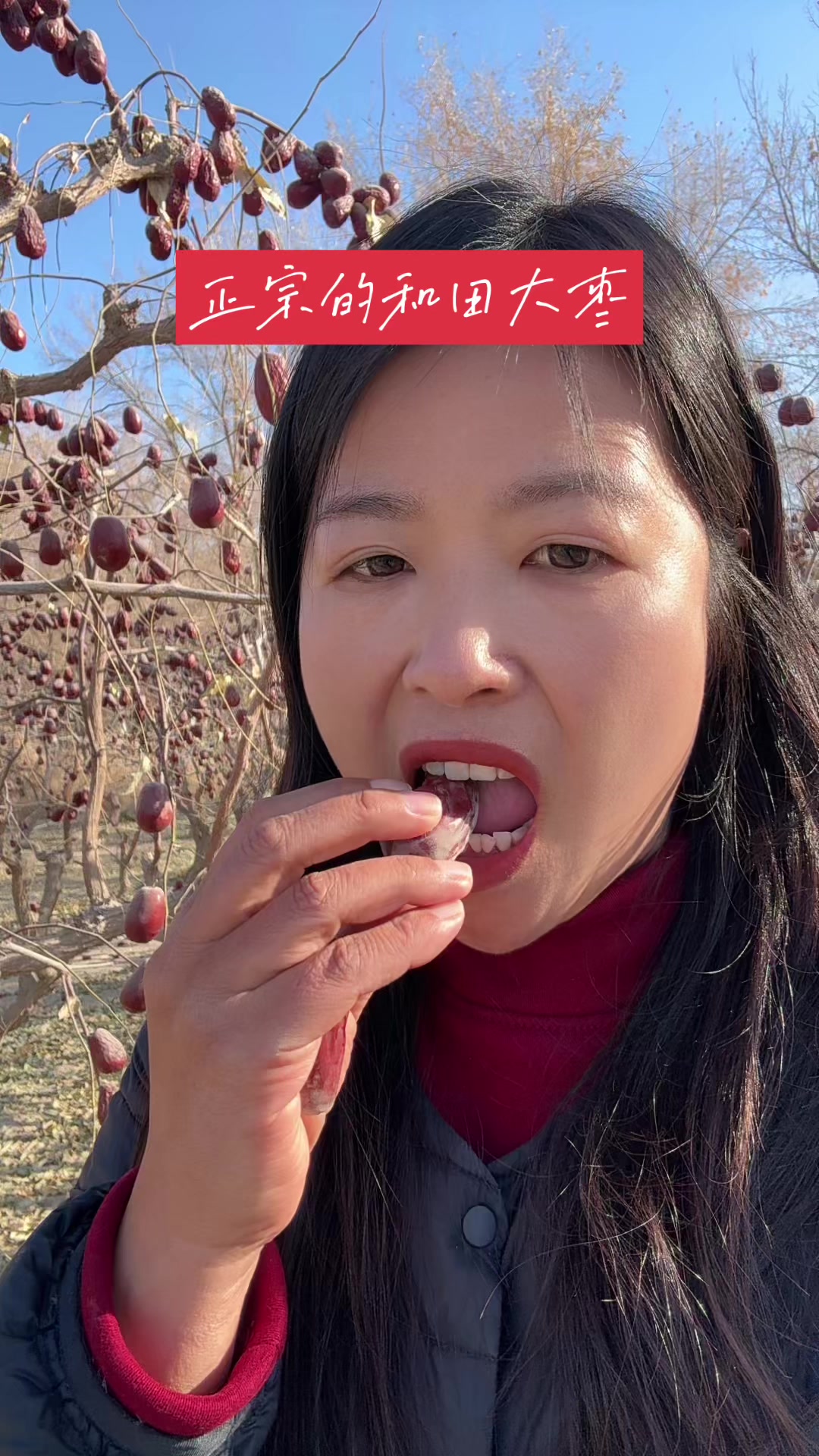 和田大枣来喽#新疆 #和田大枣
