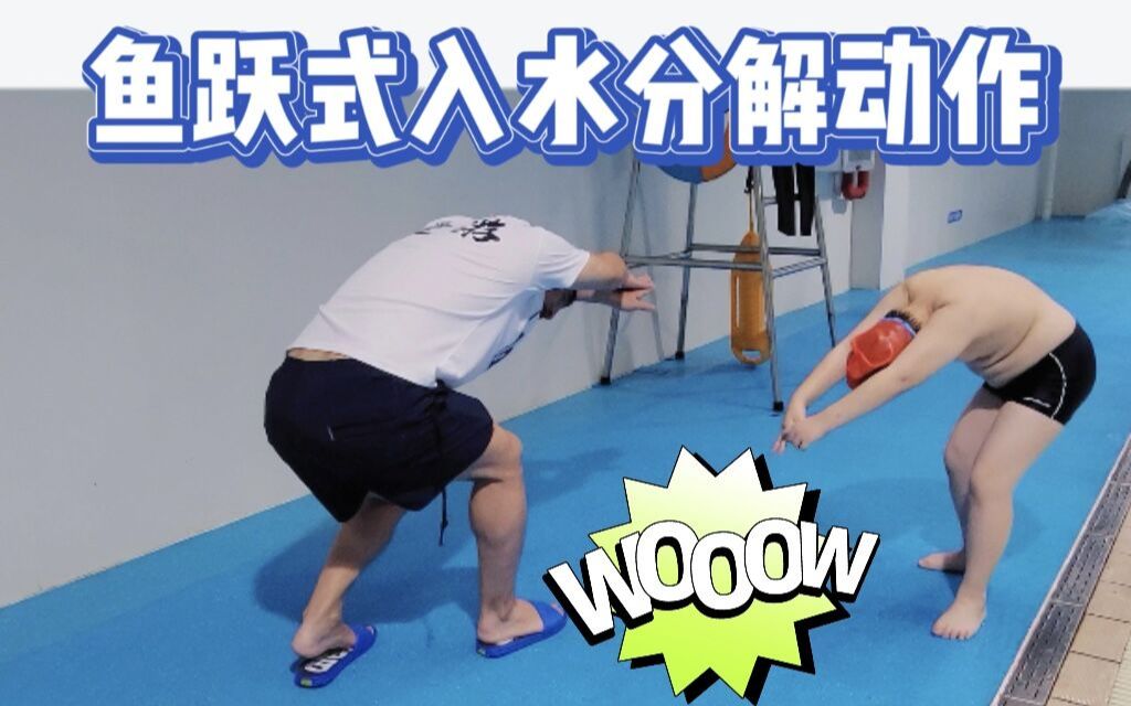 游泳初学者鱼跃式入水分解动作