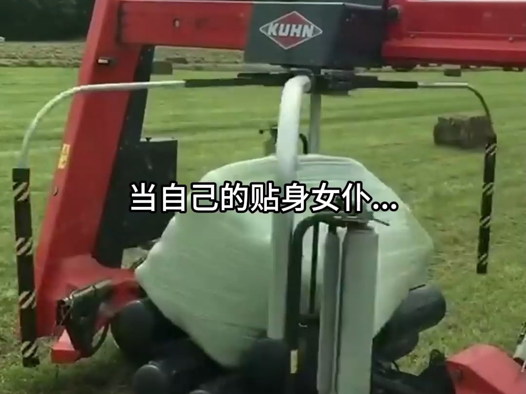 刺猬猫-恶役公主不会死于王室战争-1001-wj