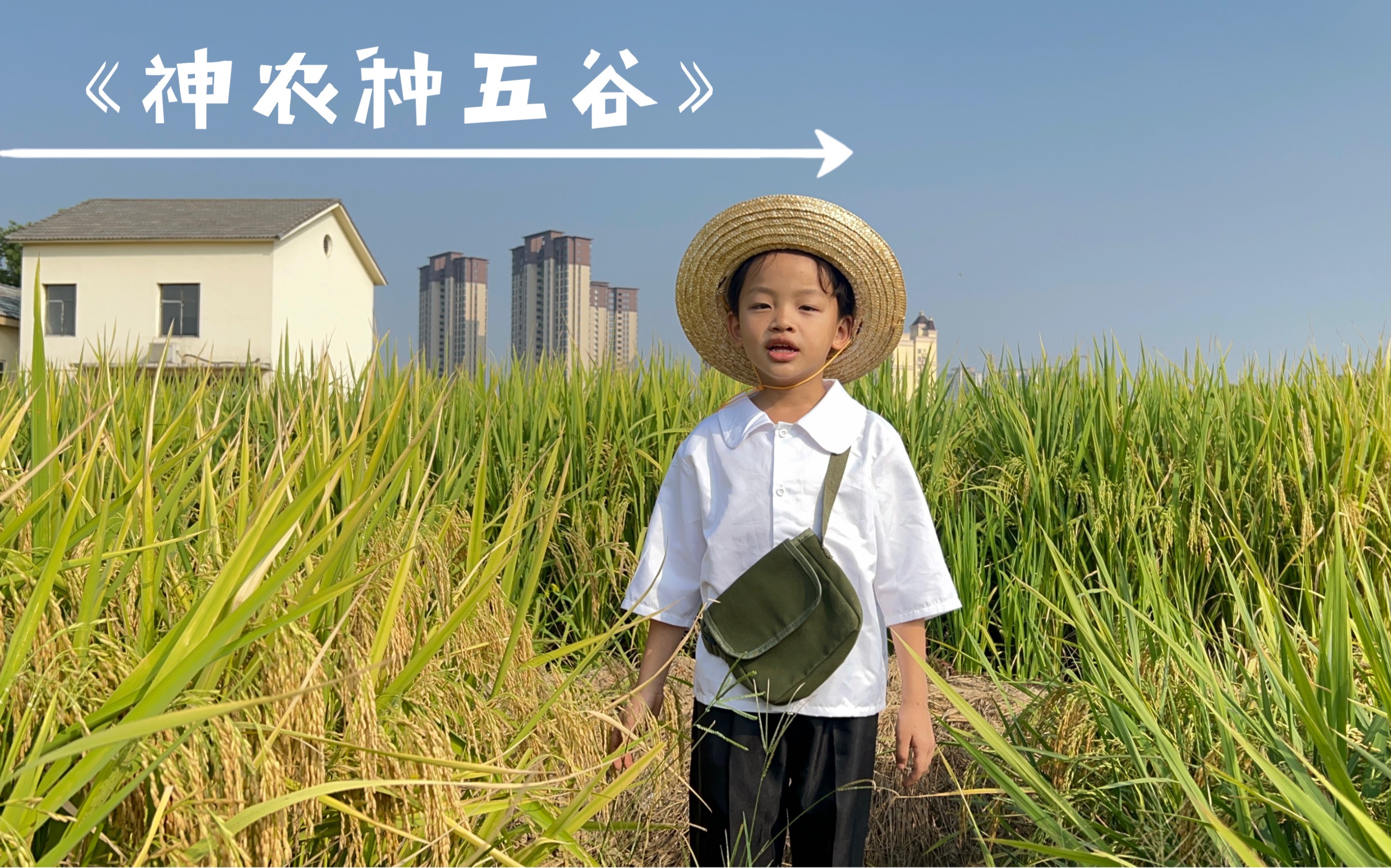 讲好神农故事之《神农种五谷》