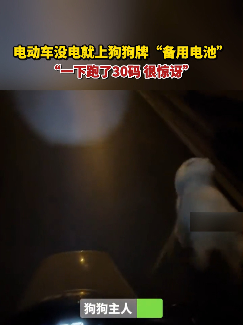 电动车没电就上狗狗牌"备用电池""一下跑了30码很惊讶