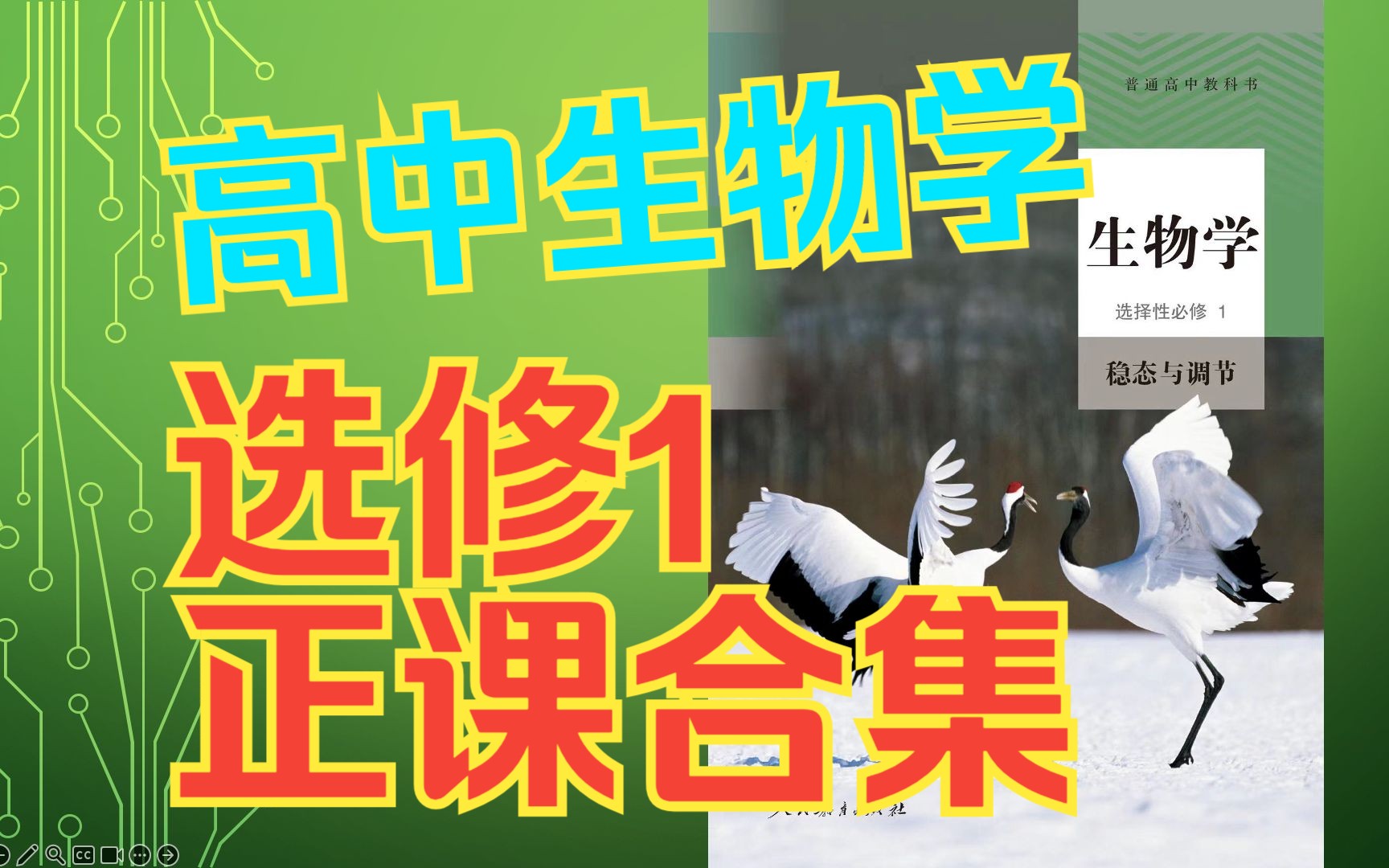 ...1新人教版新课标新高考网课生物学内环境神经体液免疫调节植物激素
