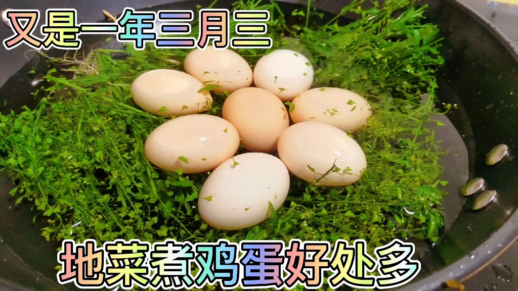 三月初三,别忘了地菜煮鸡蛋,想不到好处这么多!收藏了