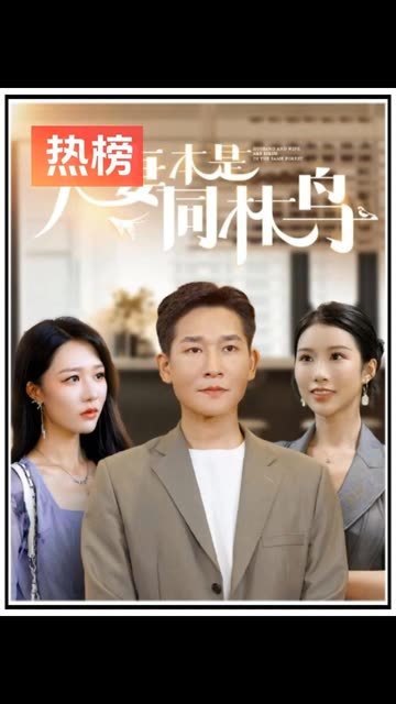 #夫妻本是同林鸟 #星火计划 #短剧推荐 #星火计划即得流量扶持和现金...