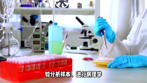 法医没案子一天干什么?