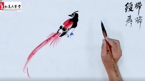 国画教学 | 写意花鸟画中,红色寿带鸟画法详解!值得收藏