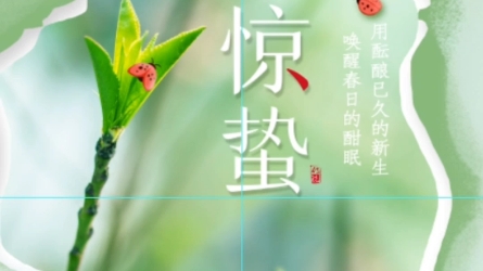PS教程-ps定位参考线小技巧