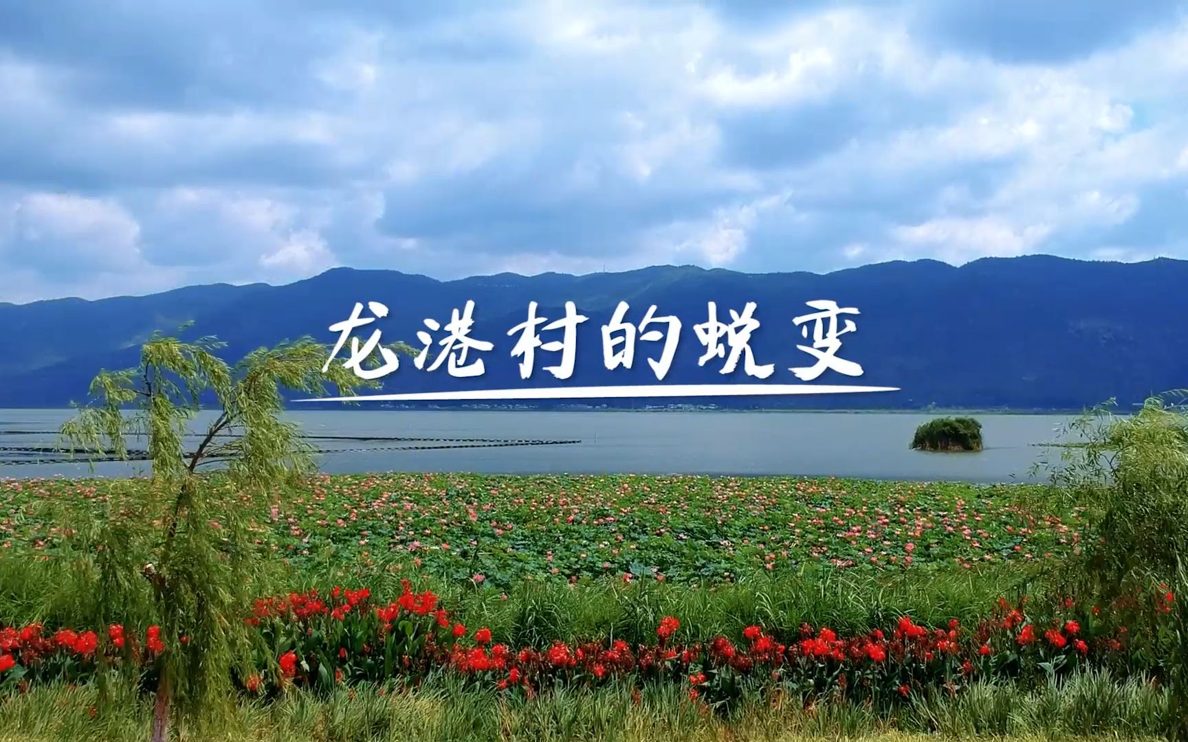 纪录片8.石屏—龙港村的蜕变
