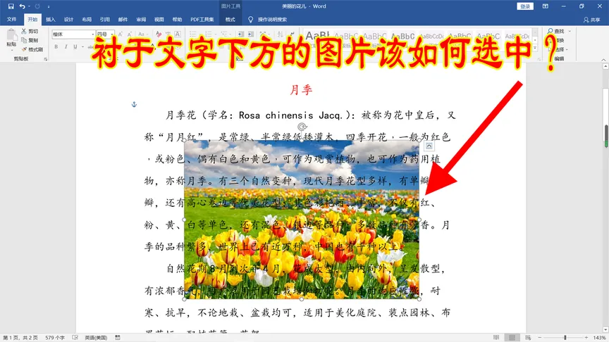 word文档文字下方的图片为什么总是选不中?只因你没有掌握这技巧