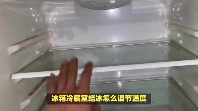 冰箱冷藏室结冰怎么调节温度? #传统文化 #知识 #老六师傅 #生肖取名...