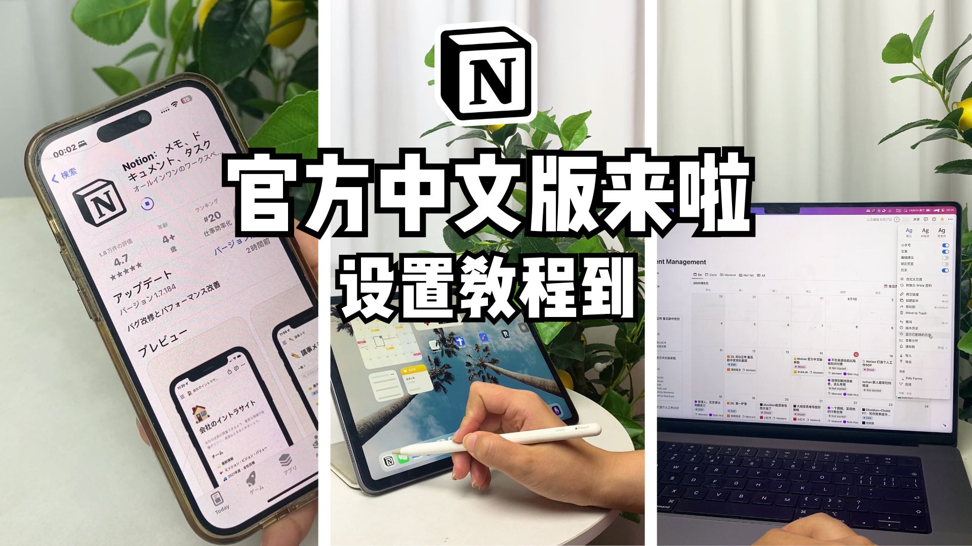 Notion官方汉化来啦 中文版手机 平板 电脑设置教程来了