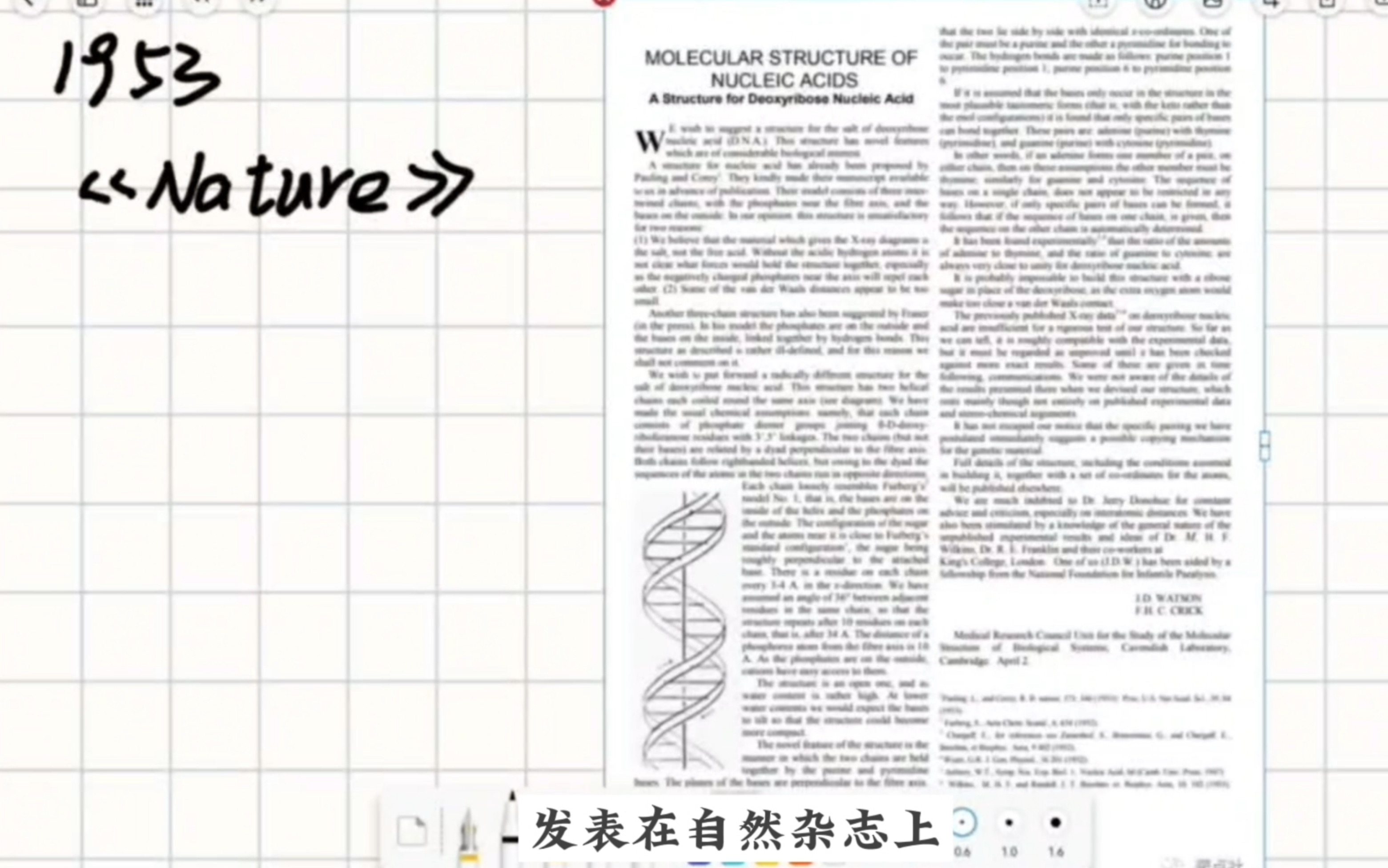 【生物学科普视频】DNA双螺旋结构的发现