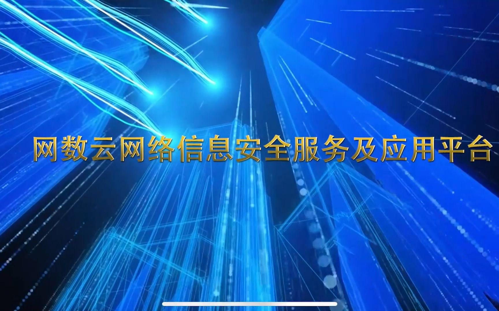 【安徽网数云智能技术有限公司】网络信息安全服务及应用平台
