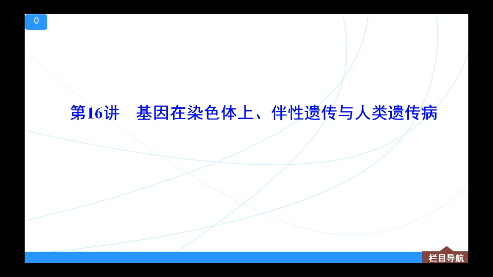 2022新高考新高三一轮复习复习基因在染色体伴性遗传与人类遗传病...