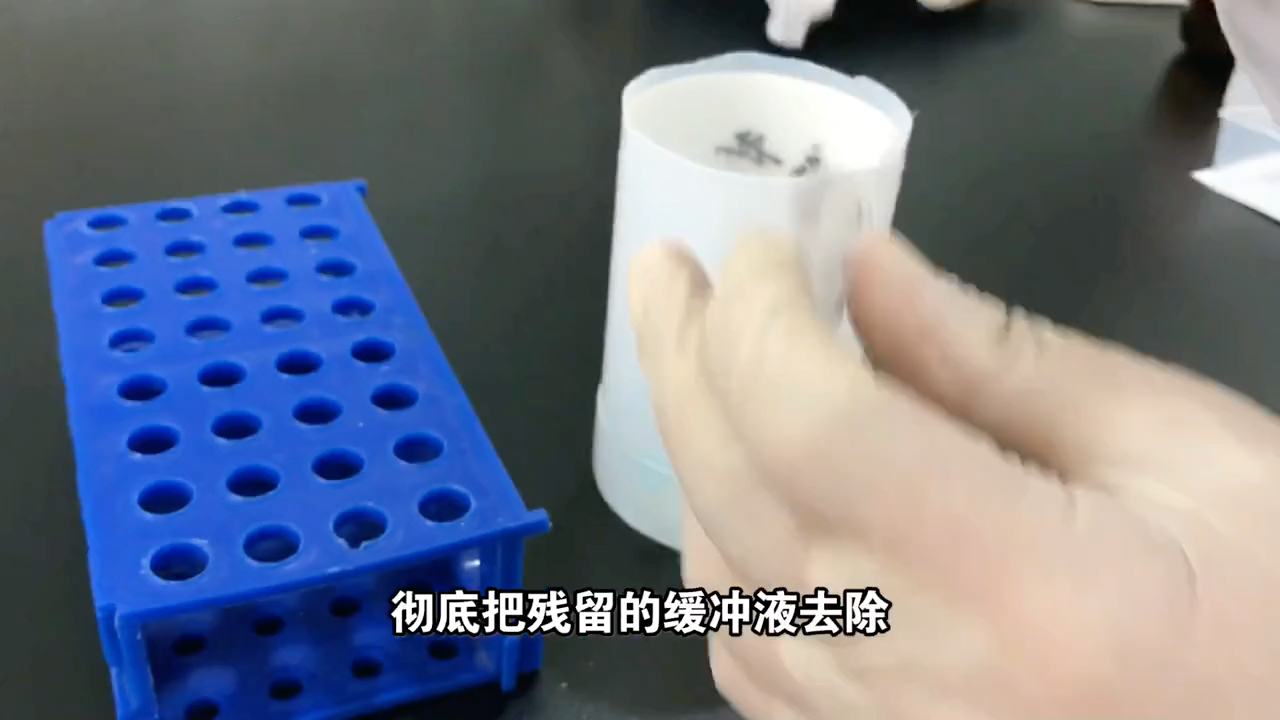 干货| 质粒DNA小提基本实验