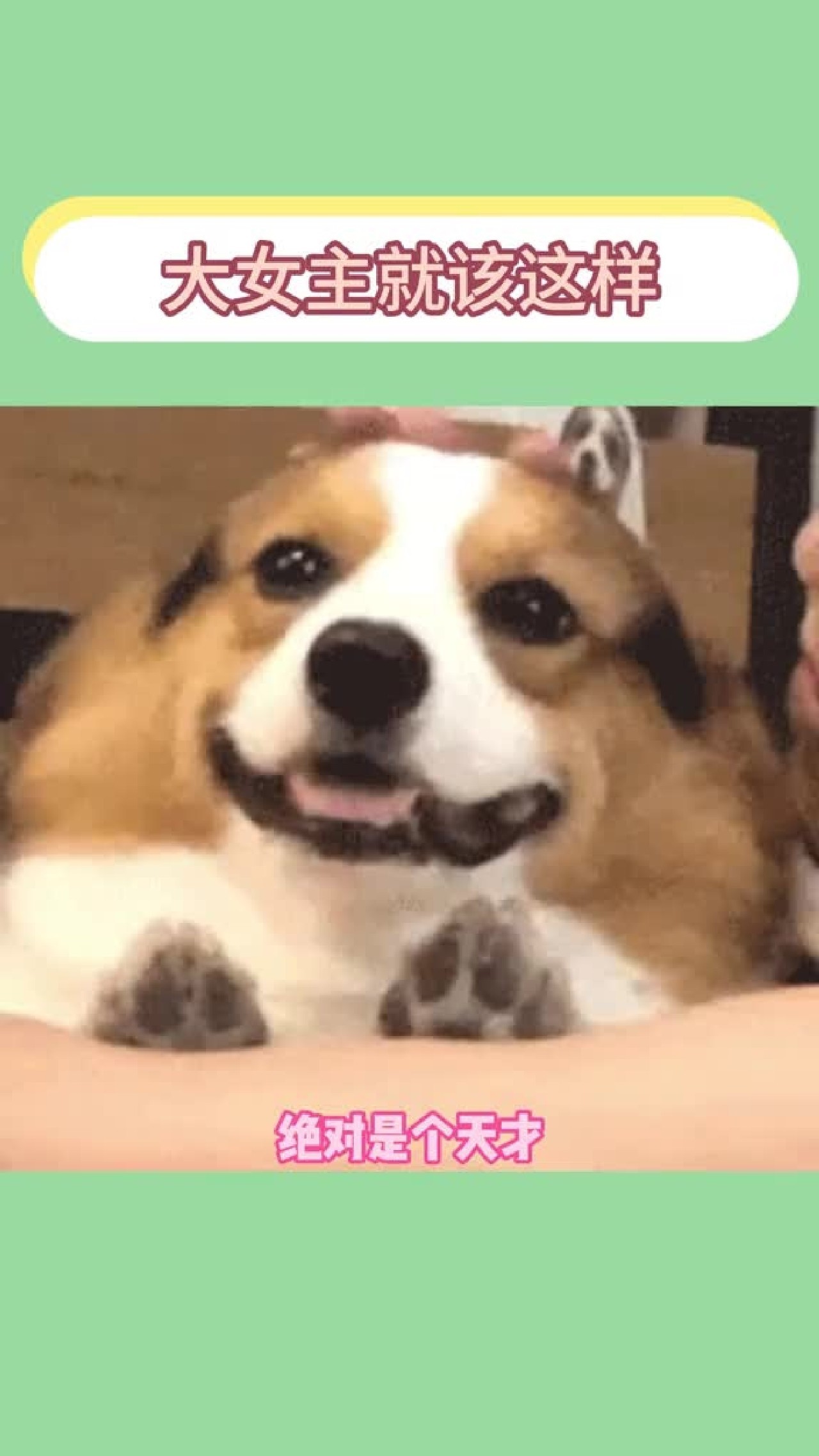 MAC你真的去油有一套