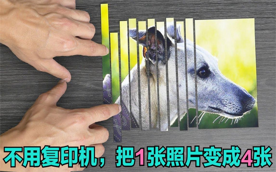 不用复印机,如何把1张照片变4张?