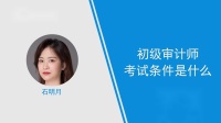 初级审计师考试条件是什么