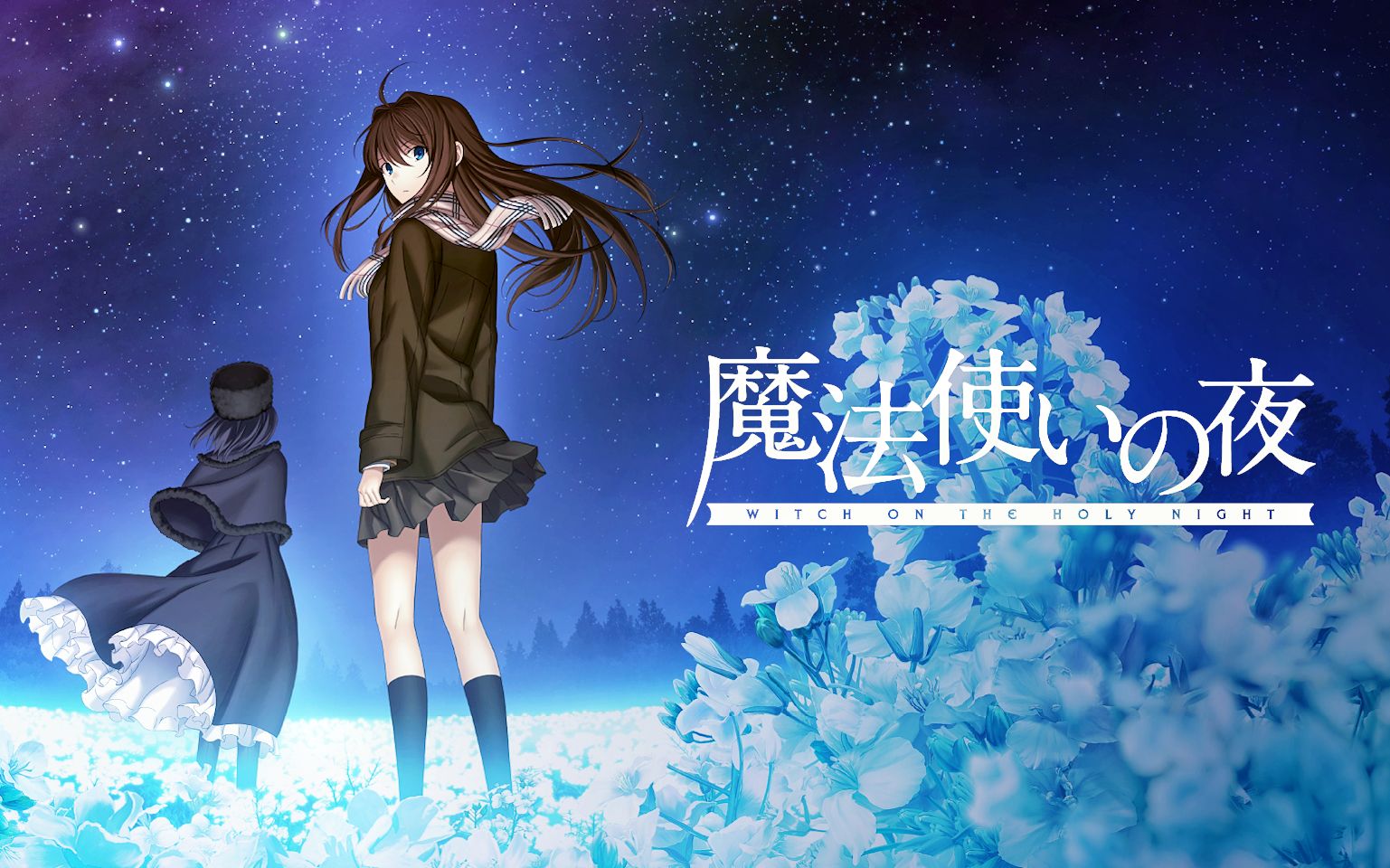 【剧场版/飞碟社/奈须蘑菇】魔法使之夜 动画化决定PV【MCE汉化组】