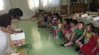 树兰幼儿园食育活动展示(小班部分)