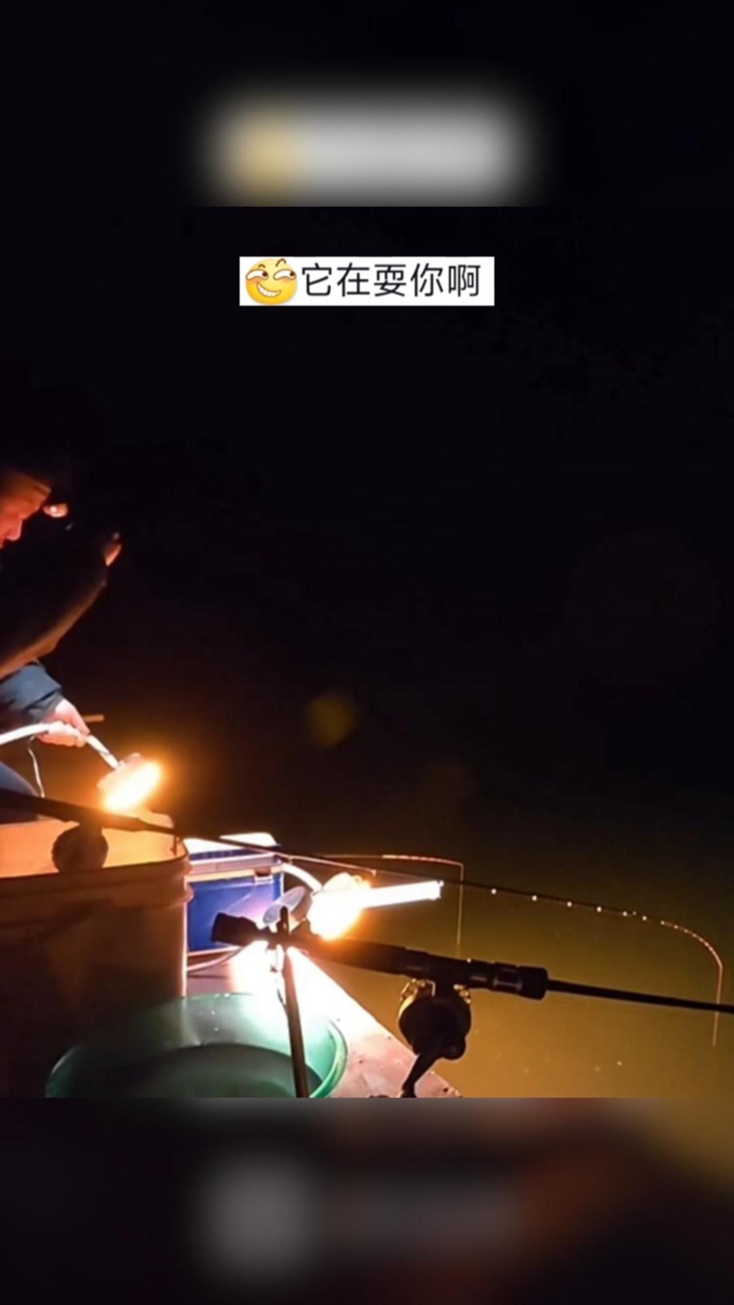 钓鱼佬深夜钓鱼,意外发现鱼群绕着鱼竿转