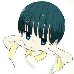 程序员Harvey 