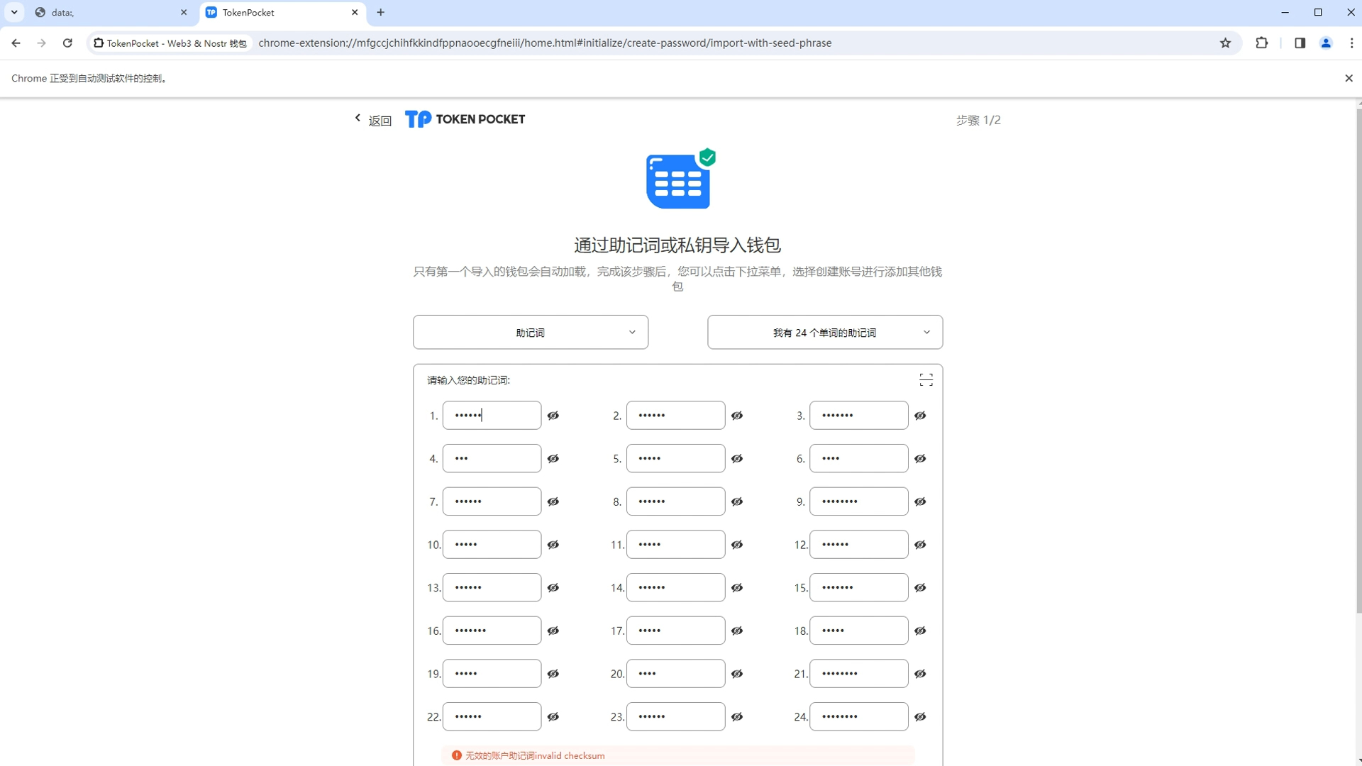TokenPocket钱包私钥助记词碰撞器支持12/24位,全自动循环验证记录...