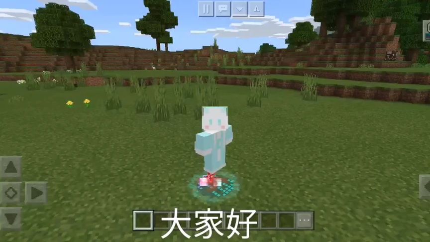 我的世界身体变大和头变大的指令