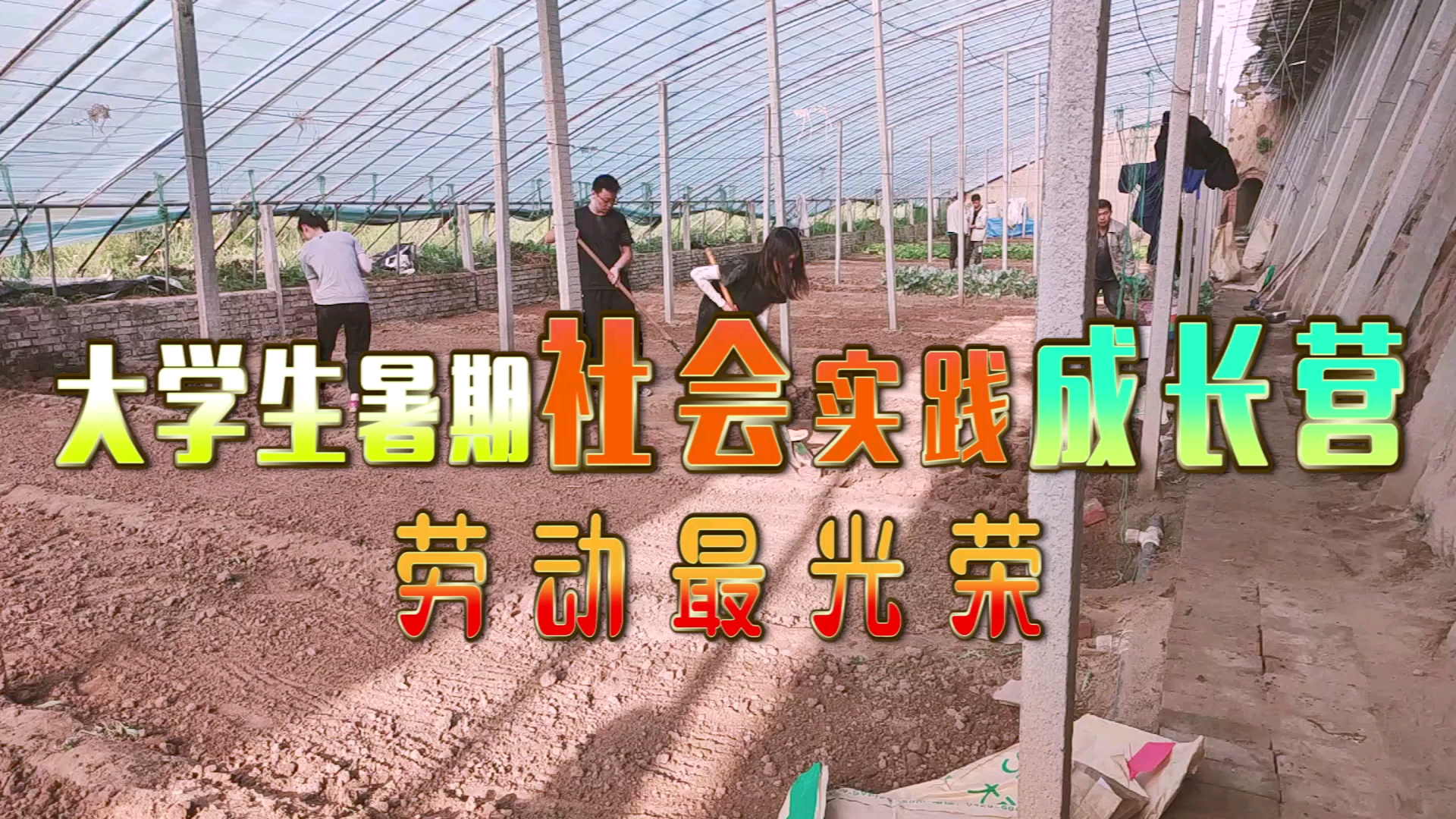 大学生暑期社会实践之劳动篇