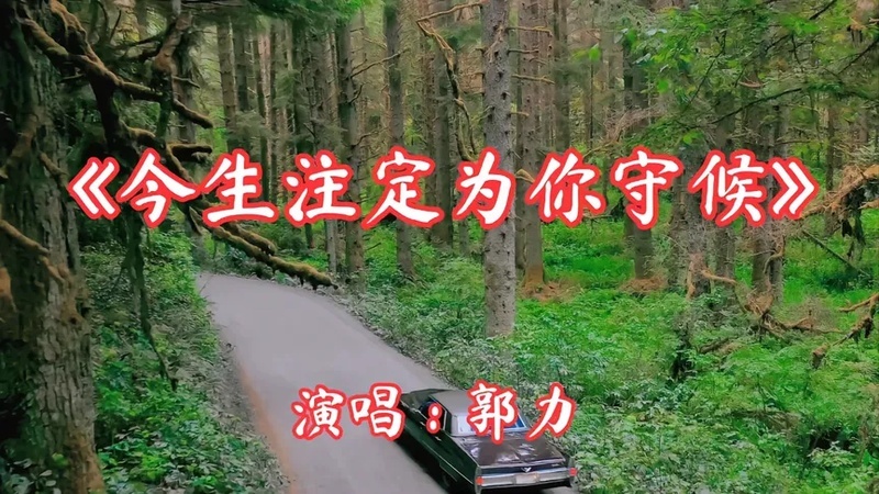 今生注定不能与你相守,《今生注定为你守候》听哭了多少痴情人!