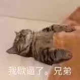 撕塔里夫撕鸡 