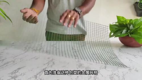 浪漫的植物种植,紫色球体,看如何做到