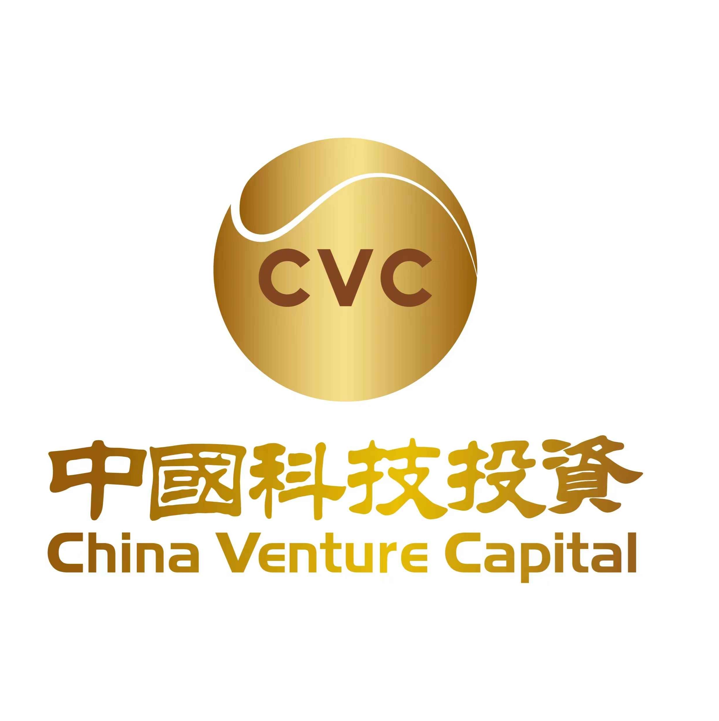 中国科技投资 