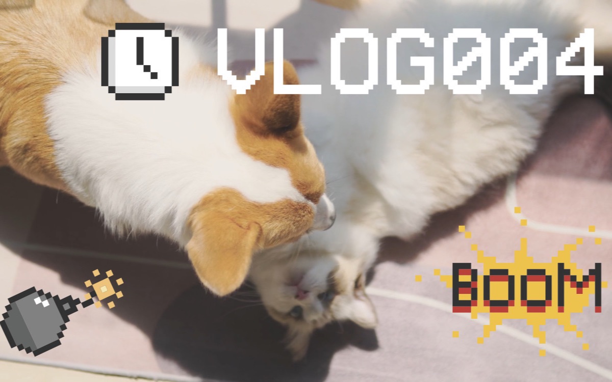 ...VLOG004回大学校园|定格动画|可爱的小火车|柯基布偶猫|散步放松