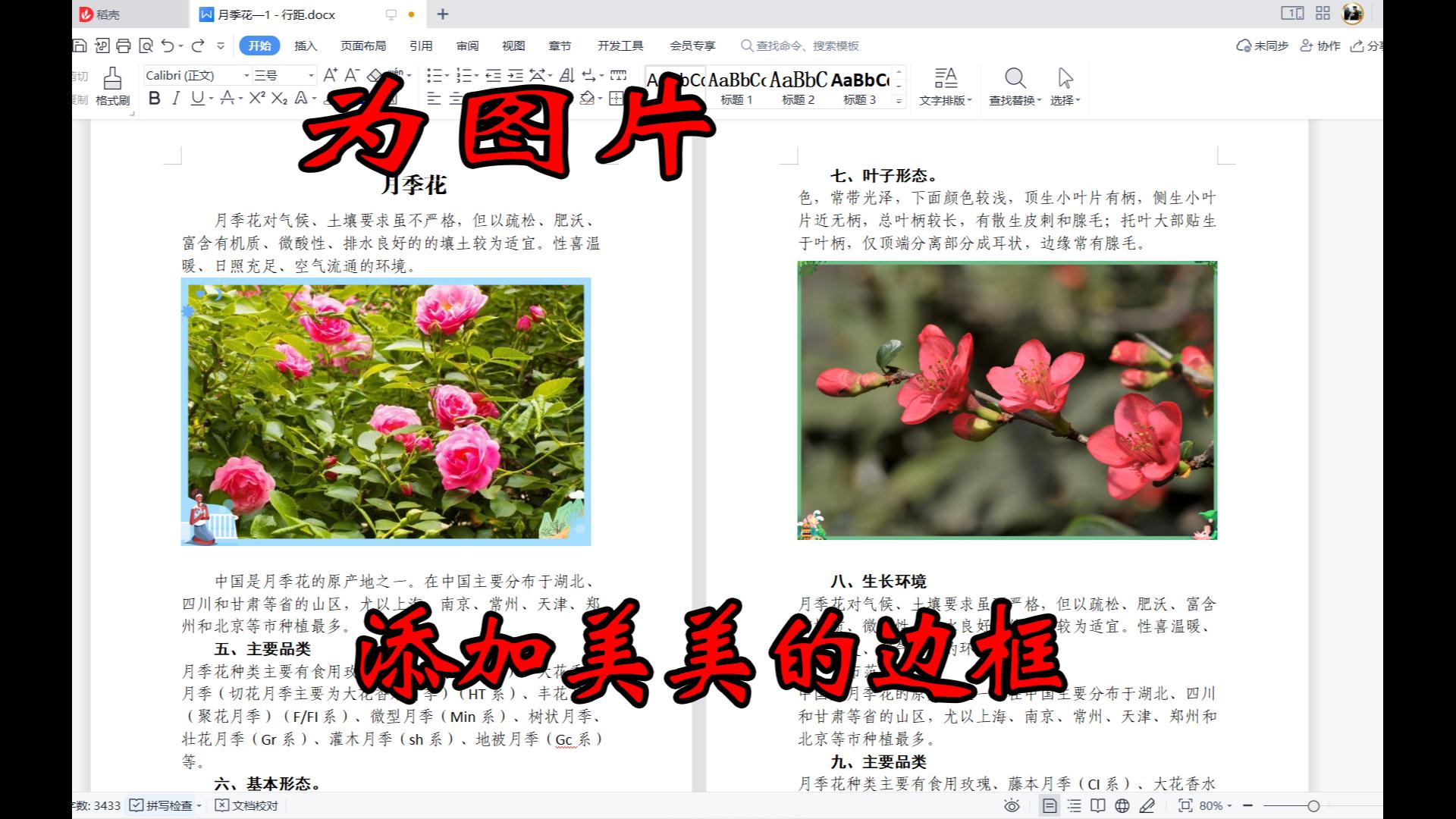 WPS文档怎样为图片添加边框?美美的边框可一键添加