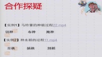 第二章流程与设计 第一节了解流程-高中通用技术优质课(2021)