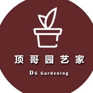 顶哥园艺家