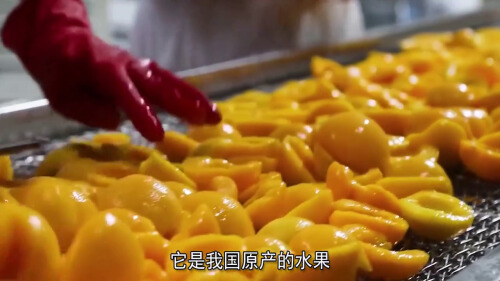 枇杷是如何加工的?又是如何制作成甘草枇杷的?