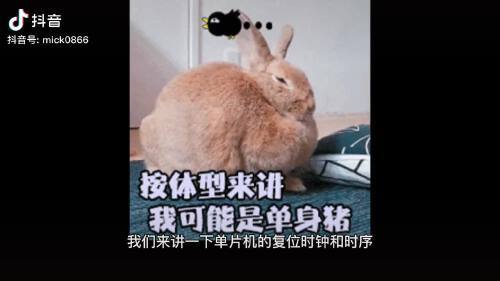 学51单片机原理入门知识复位时钟和时序