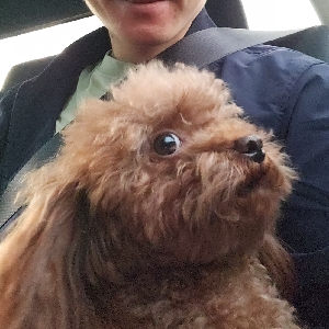 宋可可她爹 