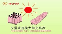光合细菌培养技术视频