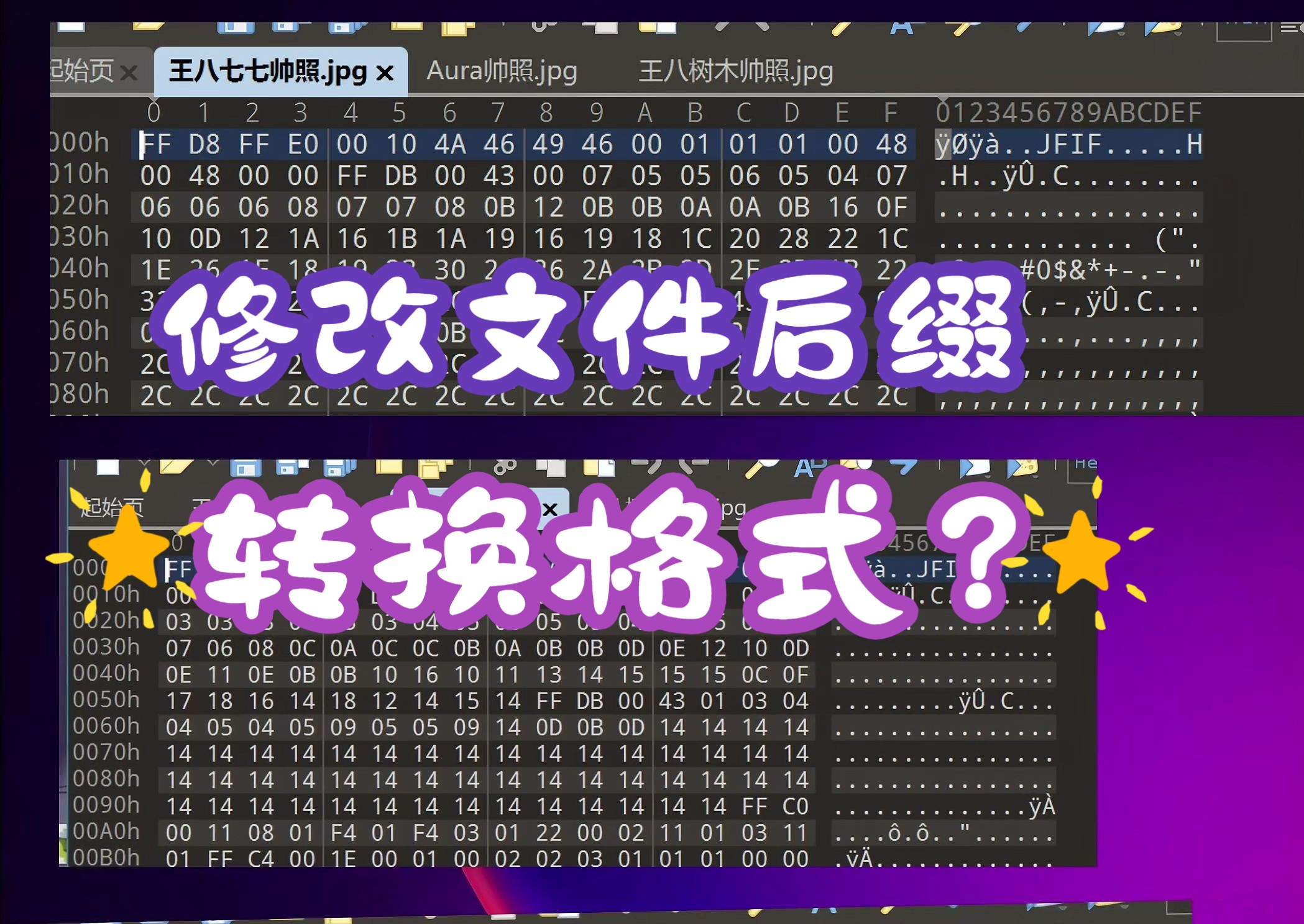 【树木】修改文件后缀名真的转换了文件格式吗?如何正确转换格式呢?