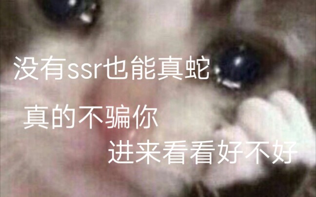 [黑羽小只]竞速真蛇?甚至不需要ssr便可以通关真蛇,全自动不需要标记,...