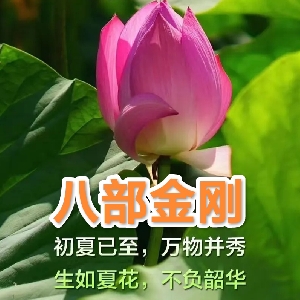 比昨天健康快乐 