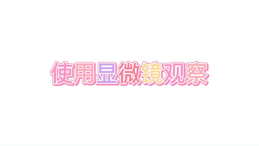 光学显微镜使用守则