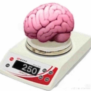 momo我终于 